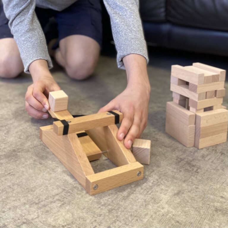 Catapult Conquest - BATTLEFORTS